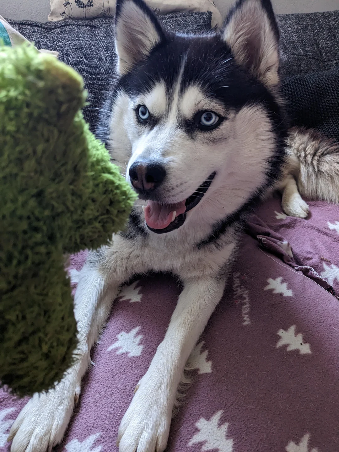 Green hippos are all the rage 😎😂 | Scrolller