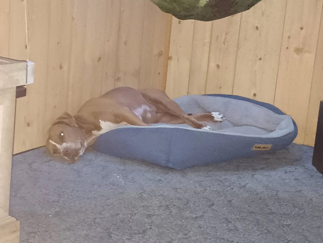 Existential dread or something. | Scrolller