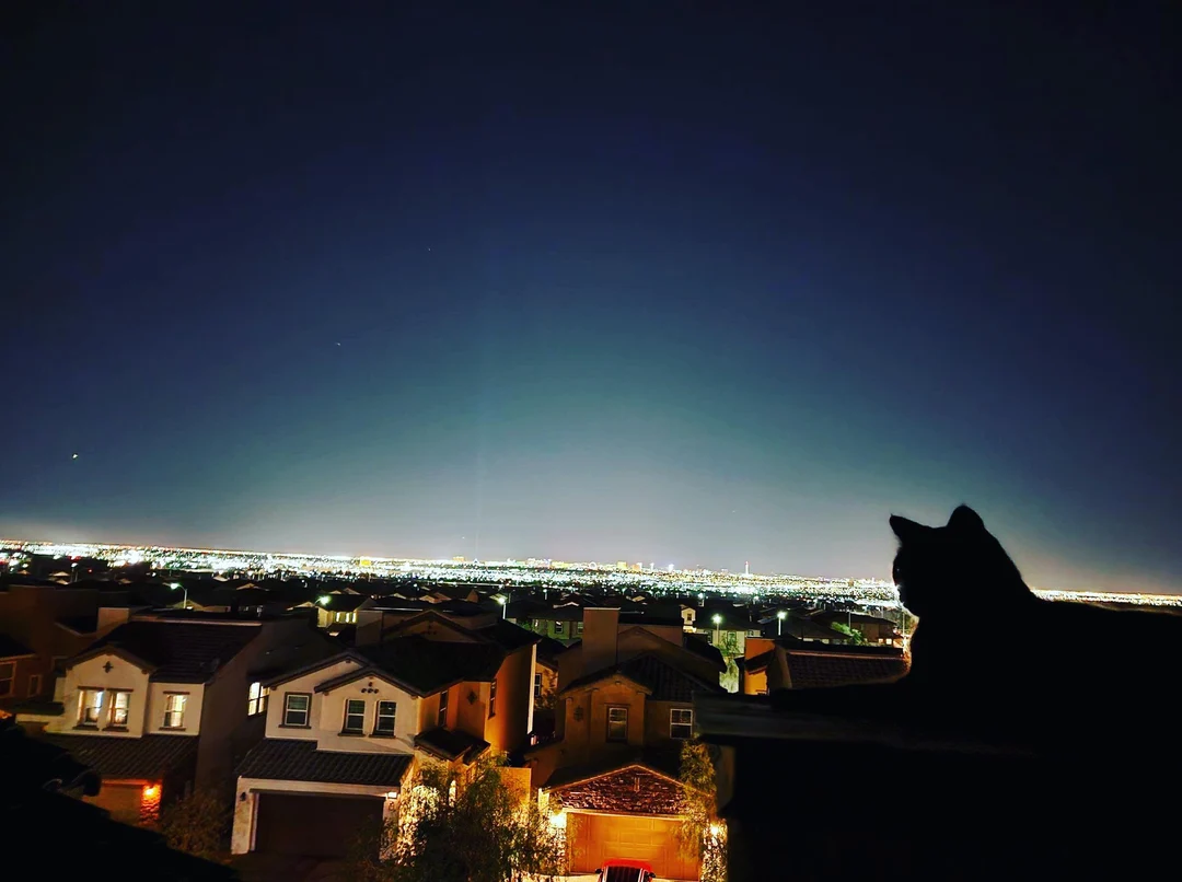 Rooftop view of the strip (Las Vegas) | Scrolller