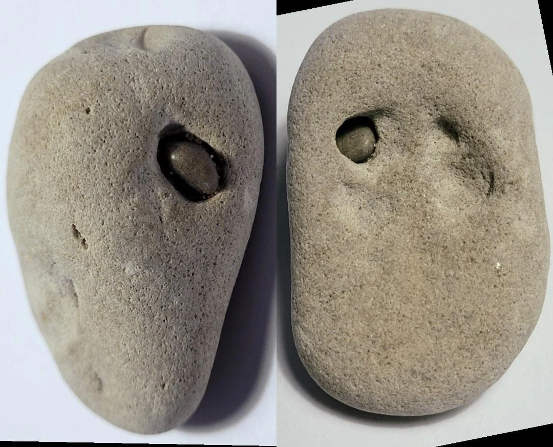 Pebble stuck inside a rock. | Scrolller