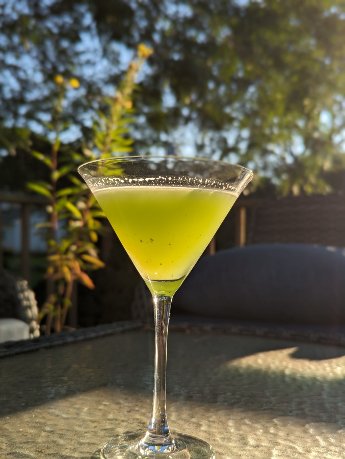 Arugula martini 🍸 | Scrolller