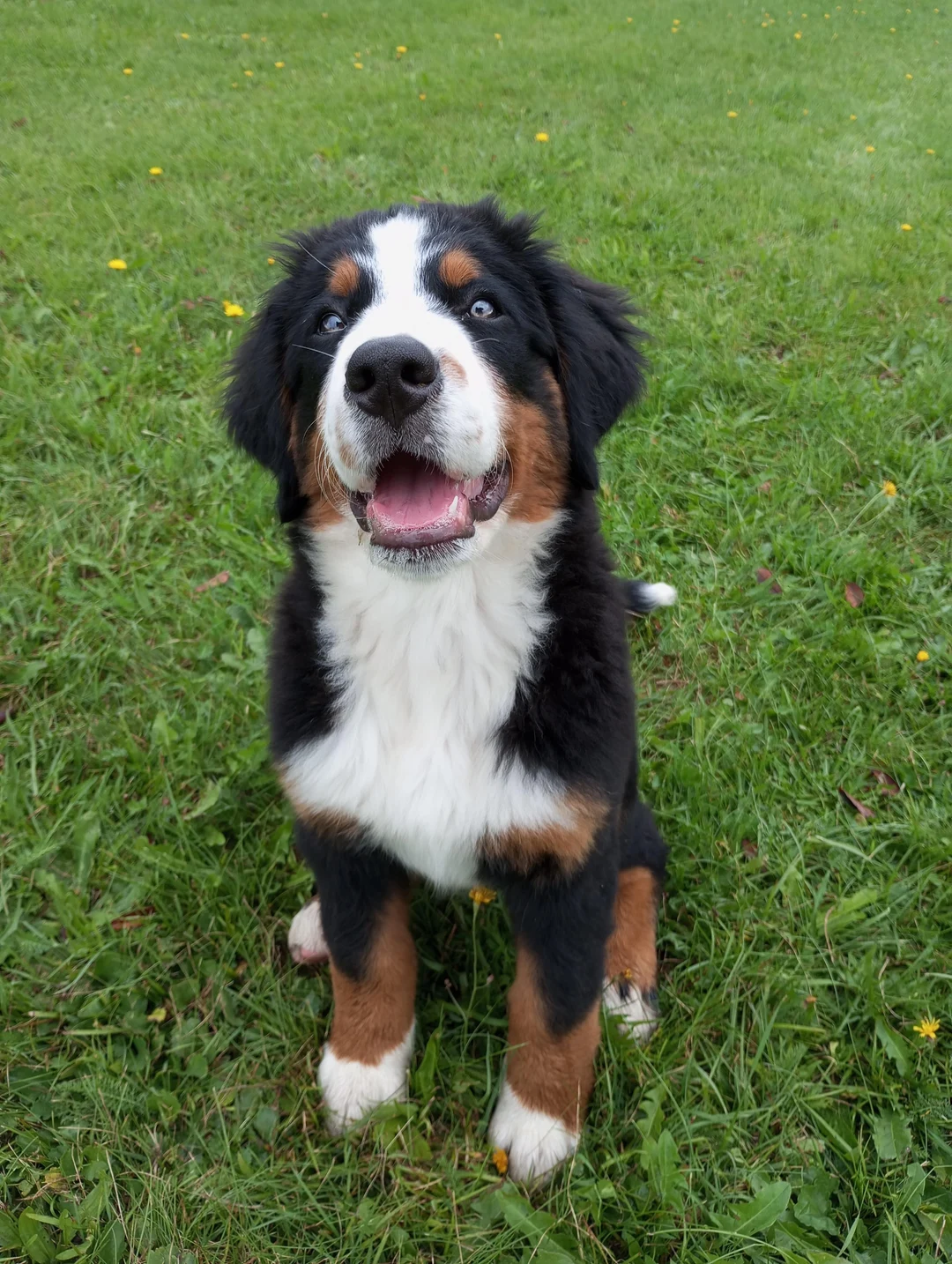 Our Baby Lexa | Scrolller