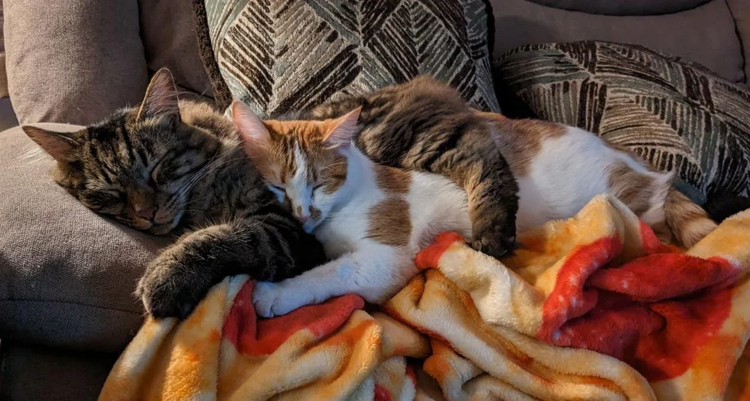 Spooning in the a/c | Scrolller