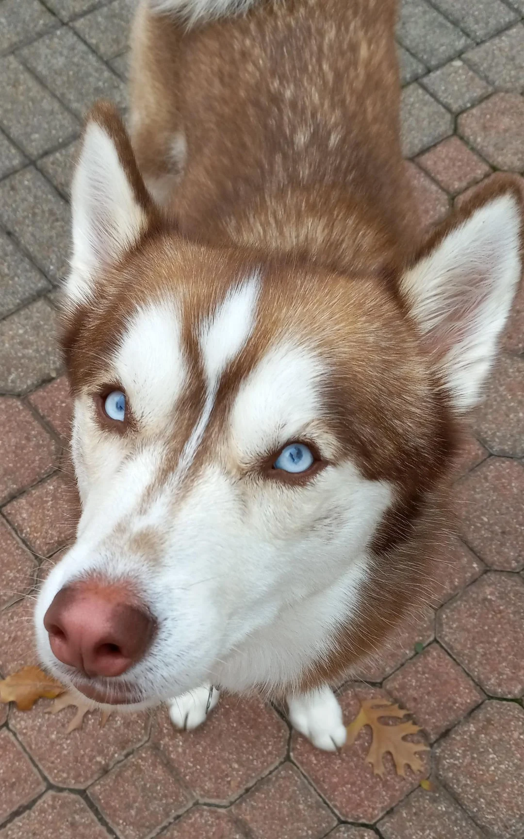 Post your best glamor shots | Scrolller