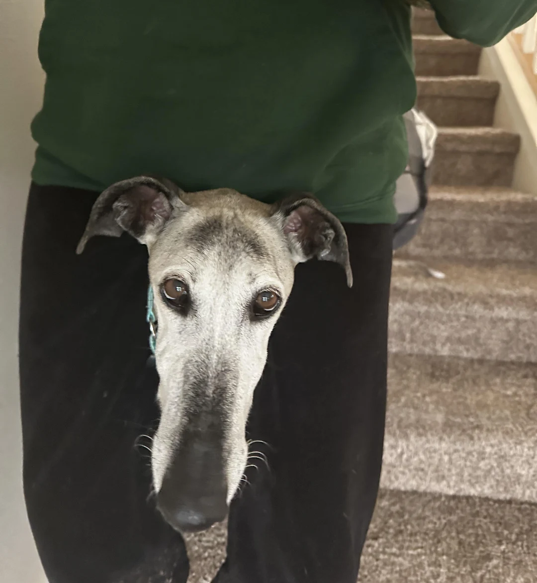 So Helpful | Scrolller