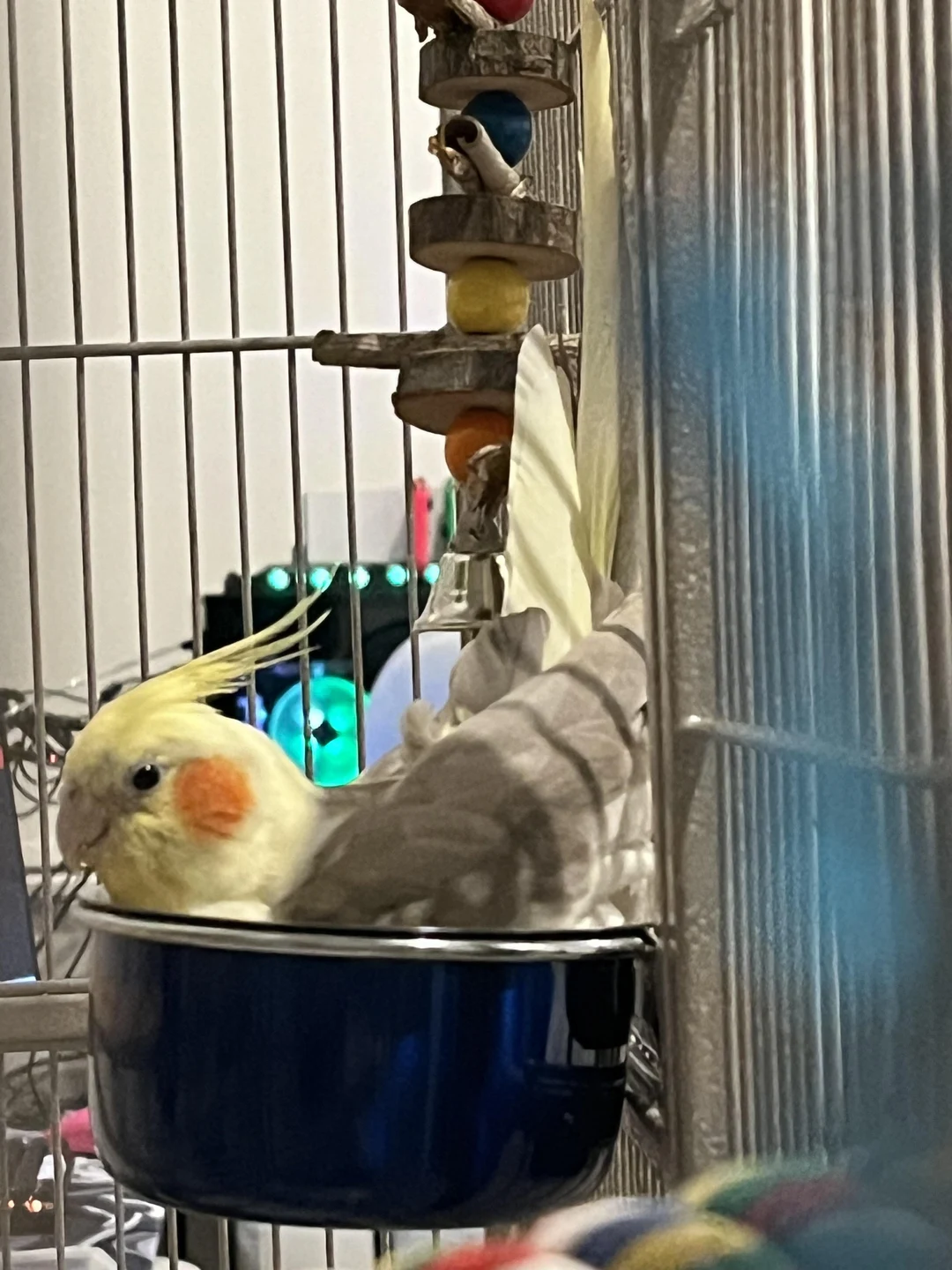 Female behavior?? | Scrolller