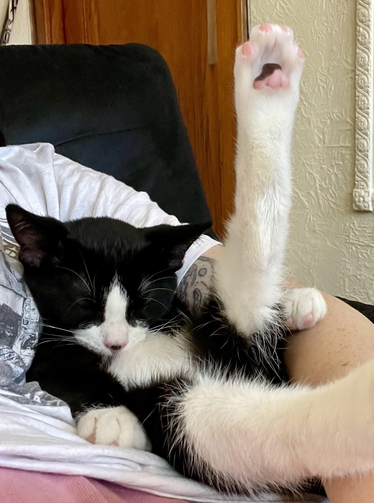 Nihilus takes an… interesting approach to waving hello 👋 | Scrolller