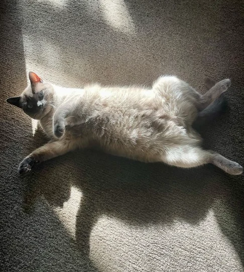 Beam me up! | Scrolller