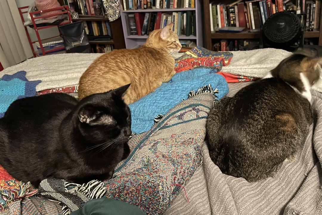 Fresh baked, three to a batch | Scrolller