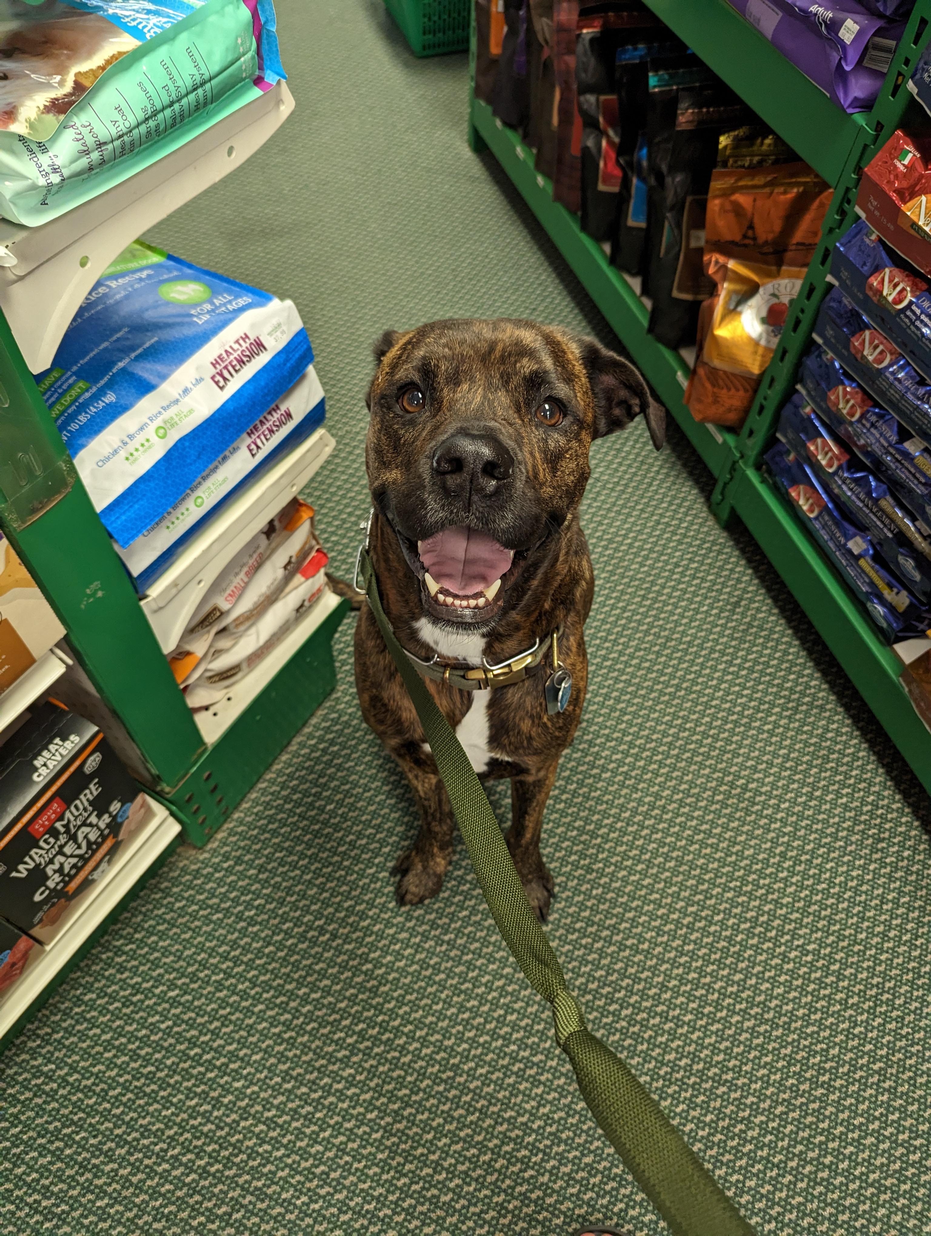 Posting the last picture of Fred! | Scrolller