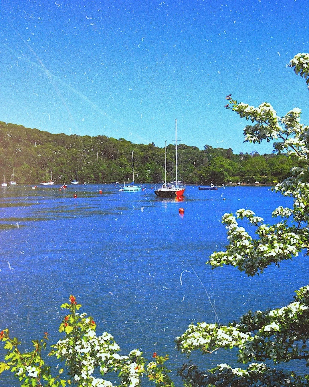 Tried to experiment a little with this picture | Scrolller