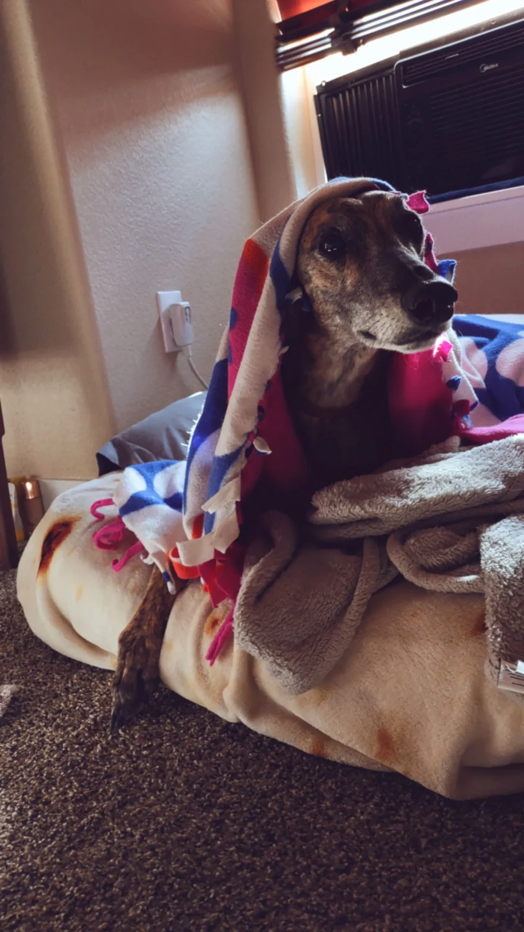 Snuggle man | Scrolller