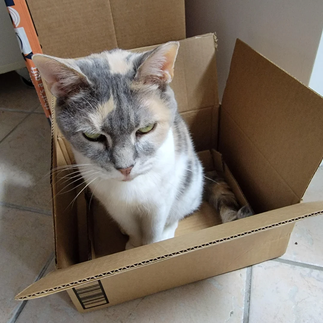 Double trapped! | Scrolller