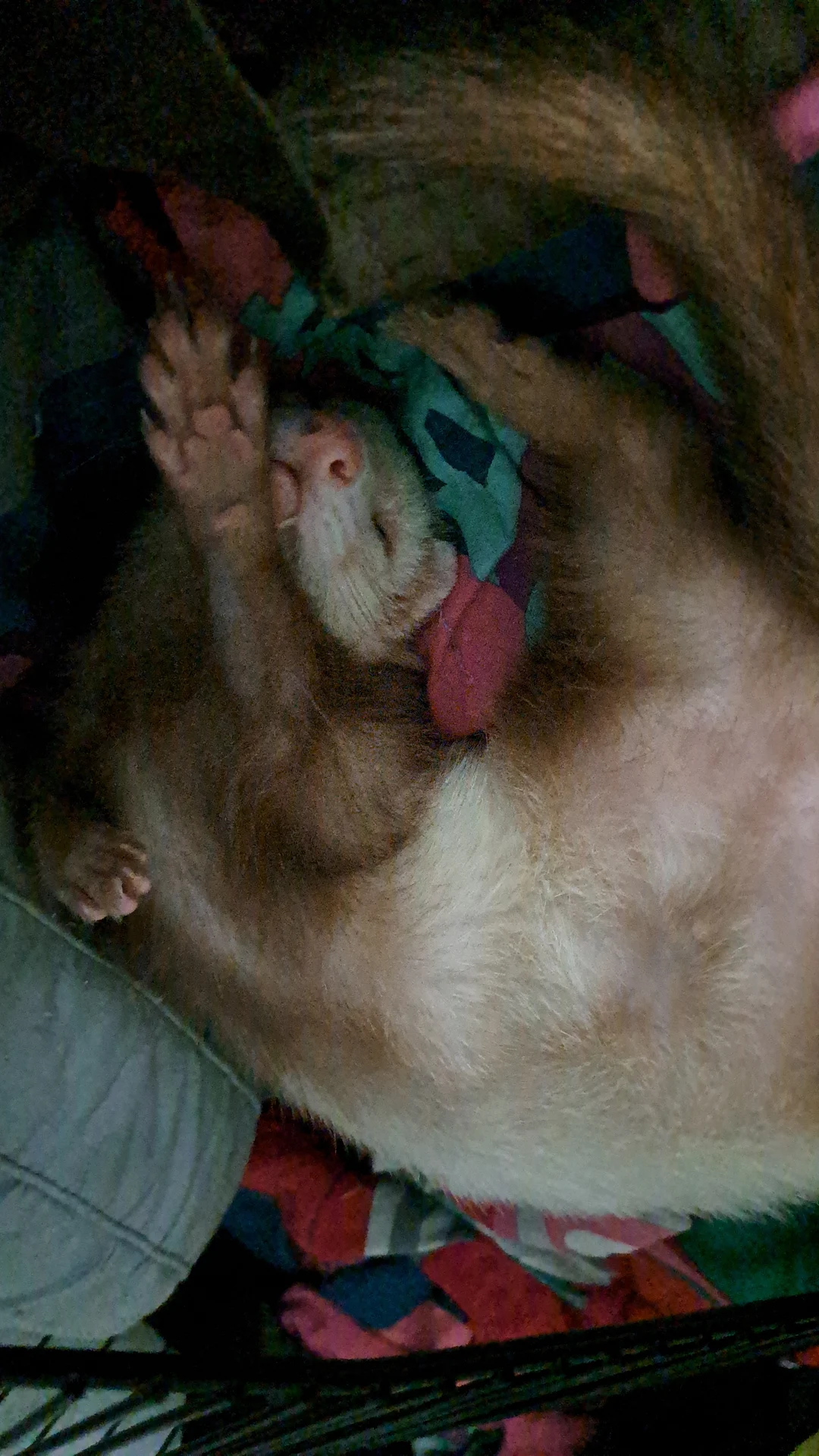 He sleepin' | Scrolller