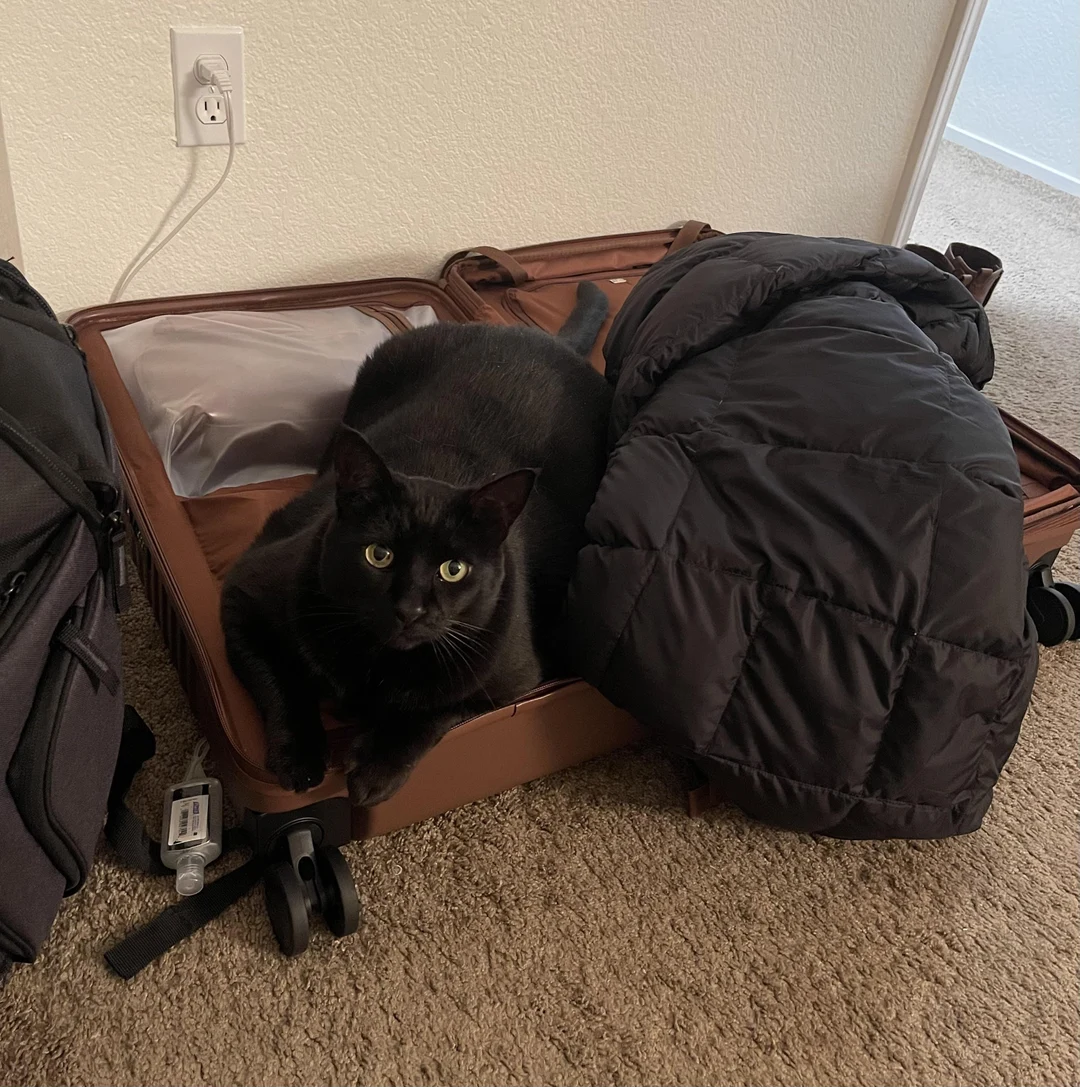 Luggage trap | Scrolller