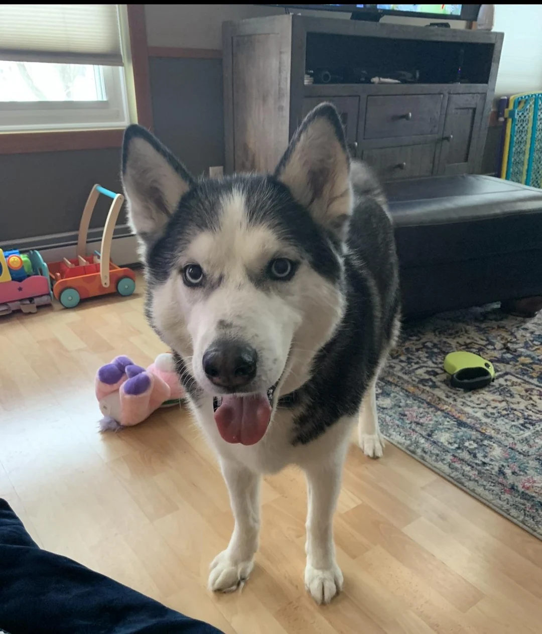 Goodbye Old Friend | Scrolller