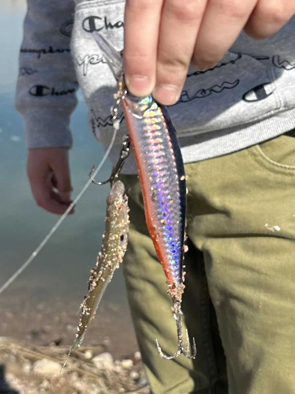Trying to replace a lost lure can anyone ID? | Scrolller
