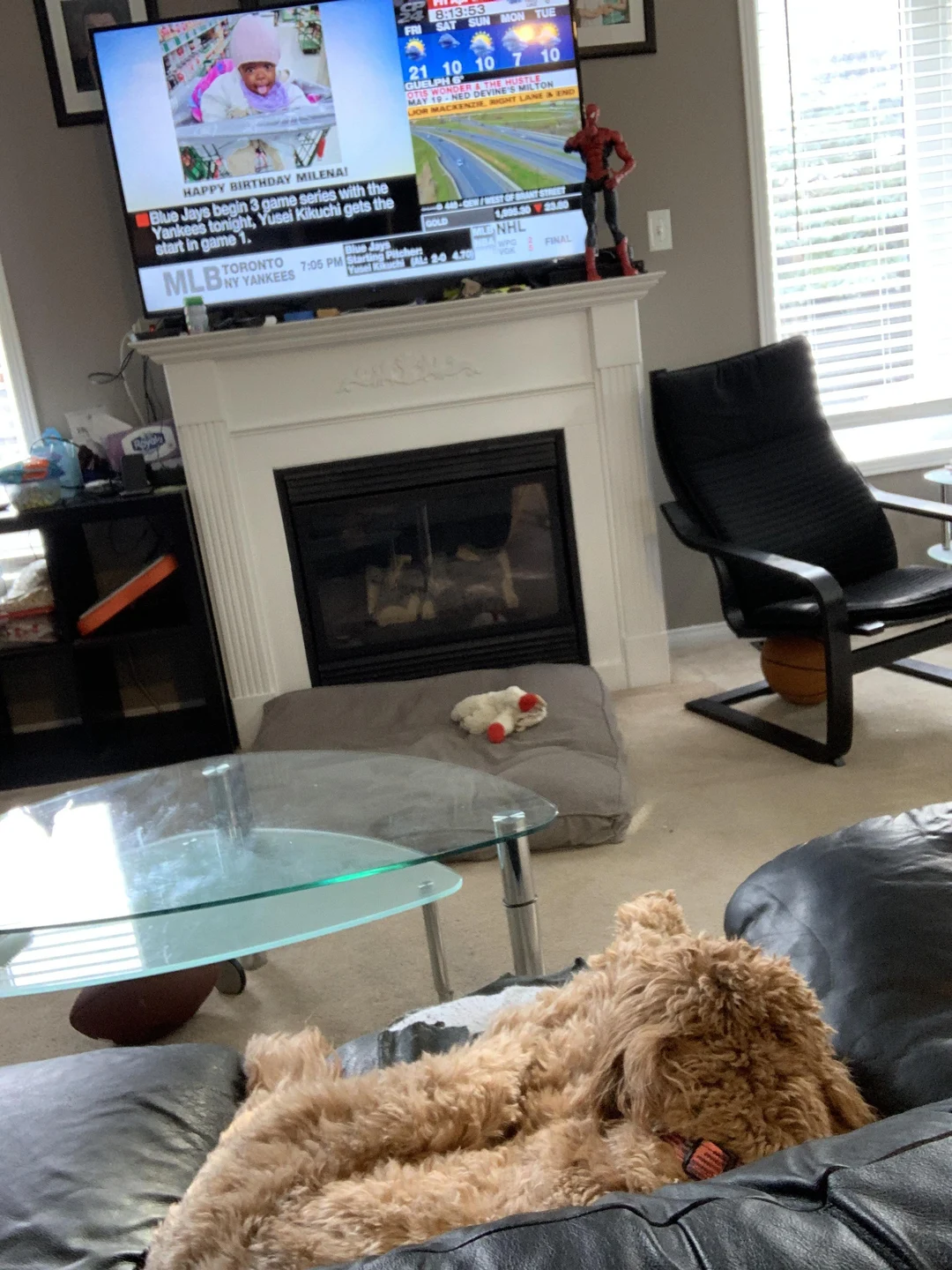 Maya is chilling and watching TV | Scrolller