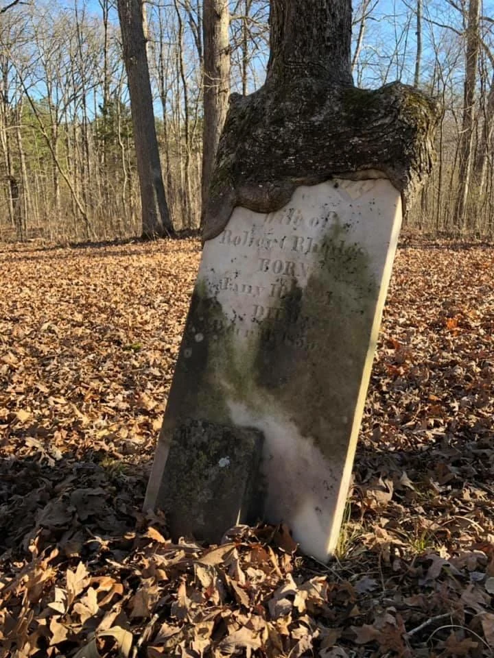 Gravestone with a tree growing on top. | Scrolller