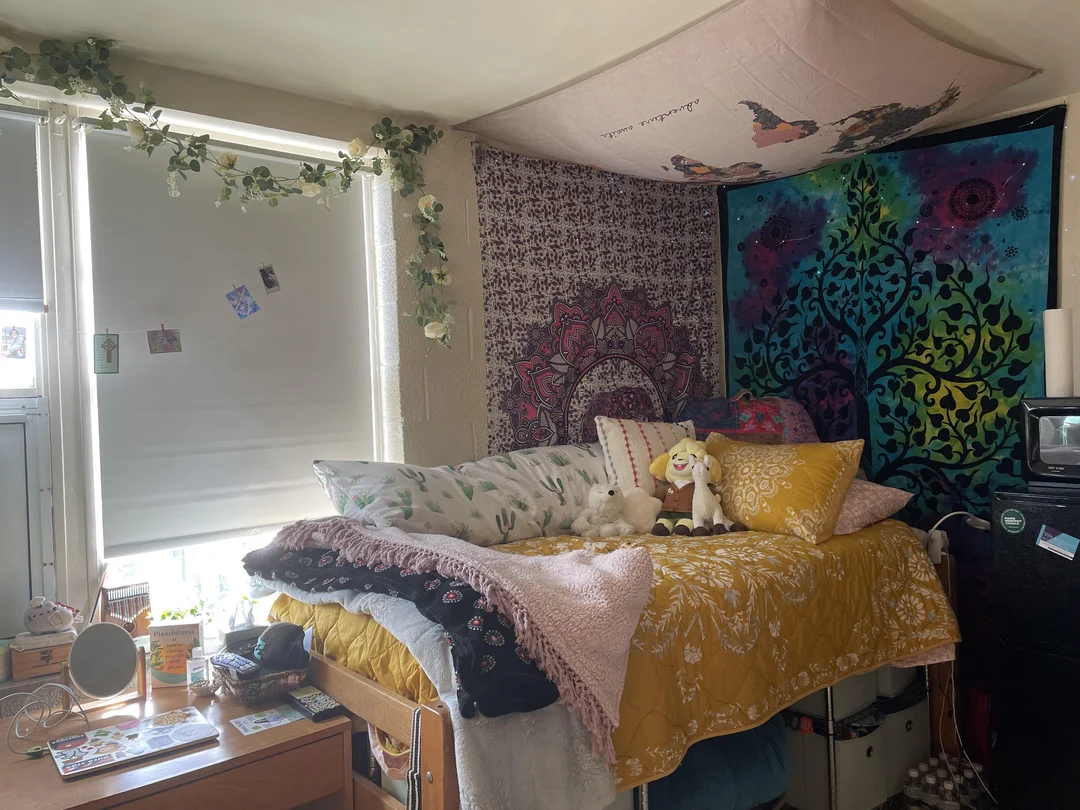 Packed up my dorm room! :) | Scrolller