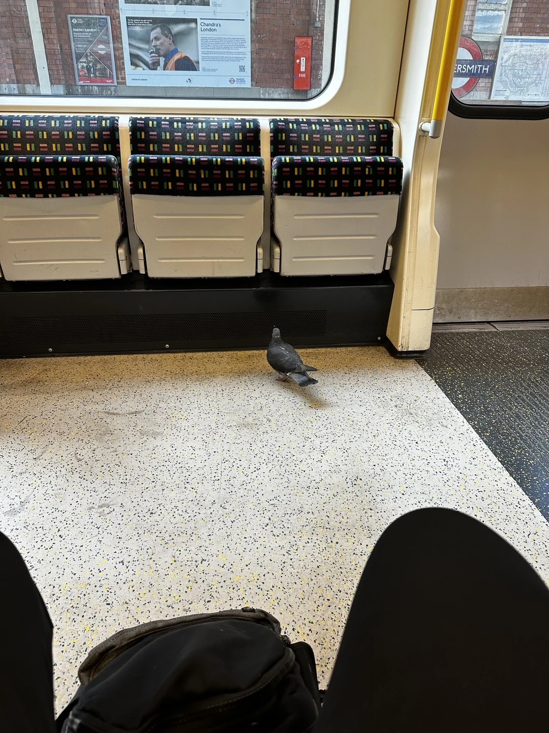 Working out how to sit down on the Circle line | Scrolller