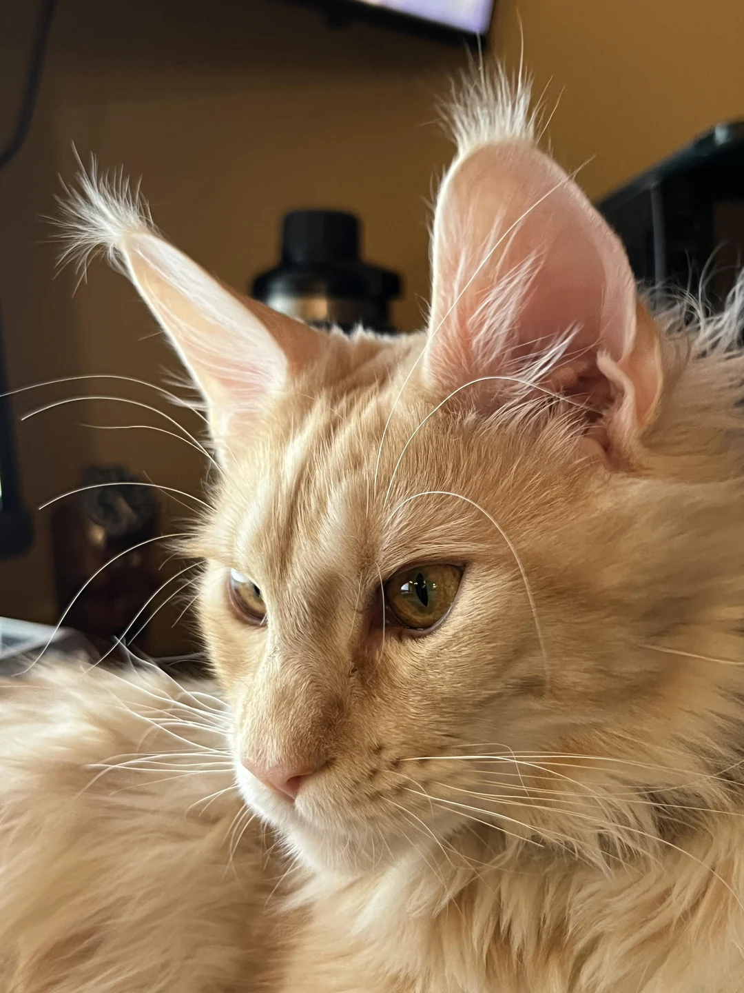 Winter is coming… | Scrolller