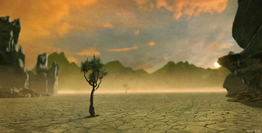 Dry wilderness | Scrolller