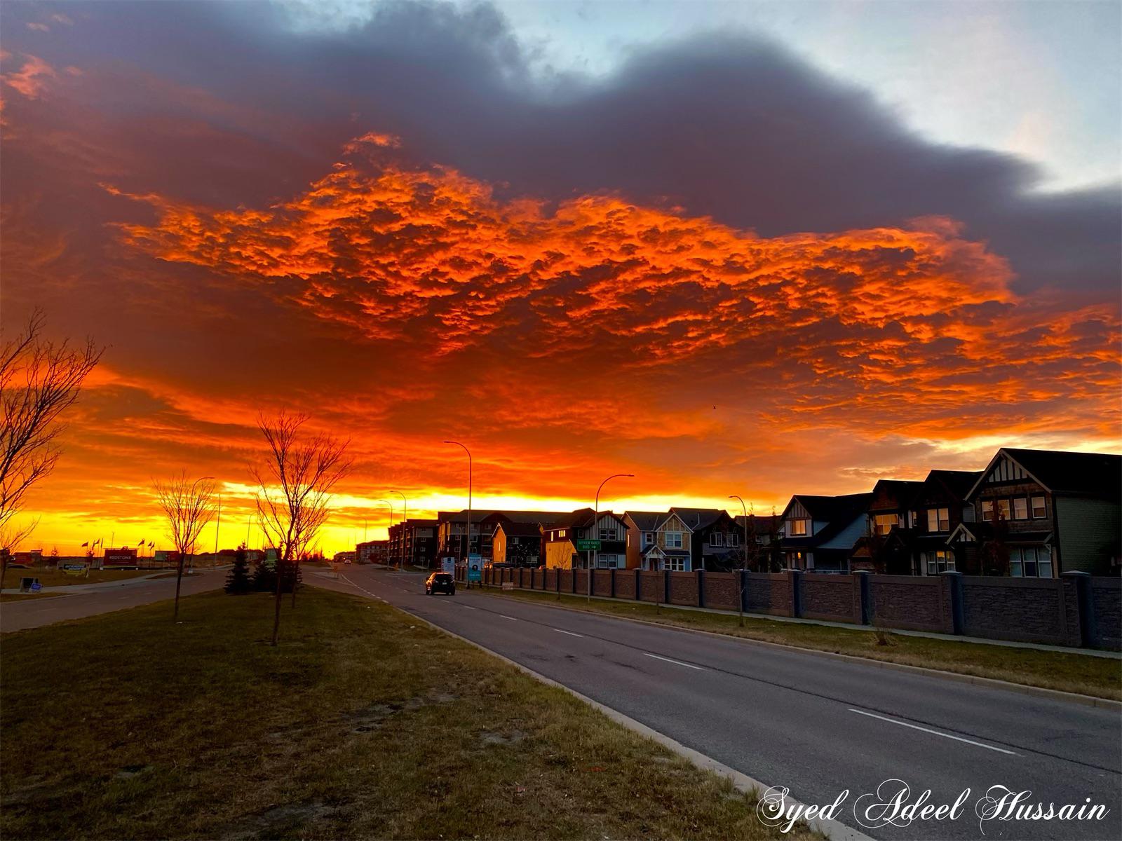 Calgary, Alberta - Oct 16 2021 | Scrolller