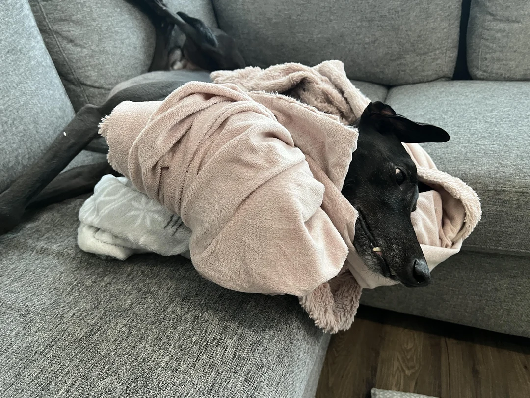 It’s called class, look it up | Scrolller