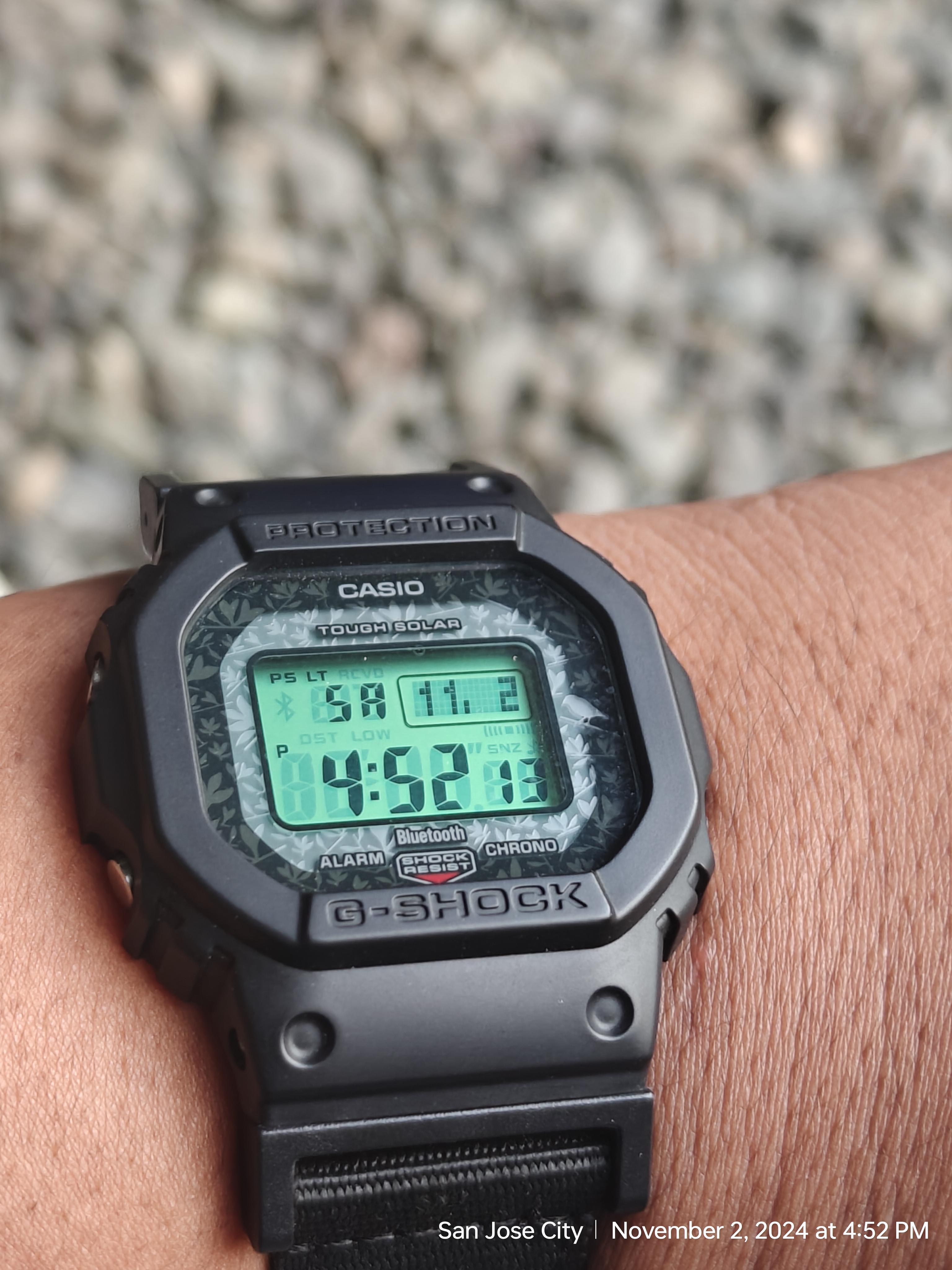 Charles Darwin (Finch) | Scrolller