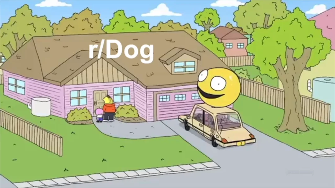 'What Breed is My Dog' - Deity Level Difficulty | Scrolller