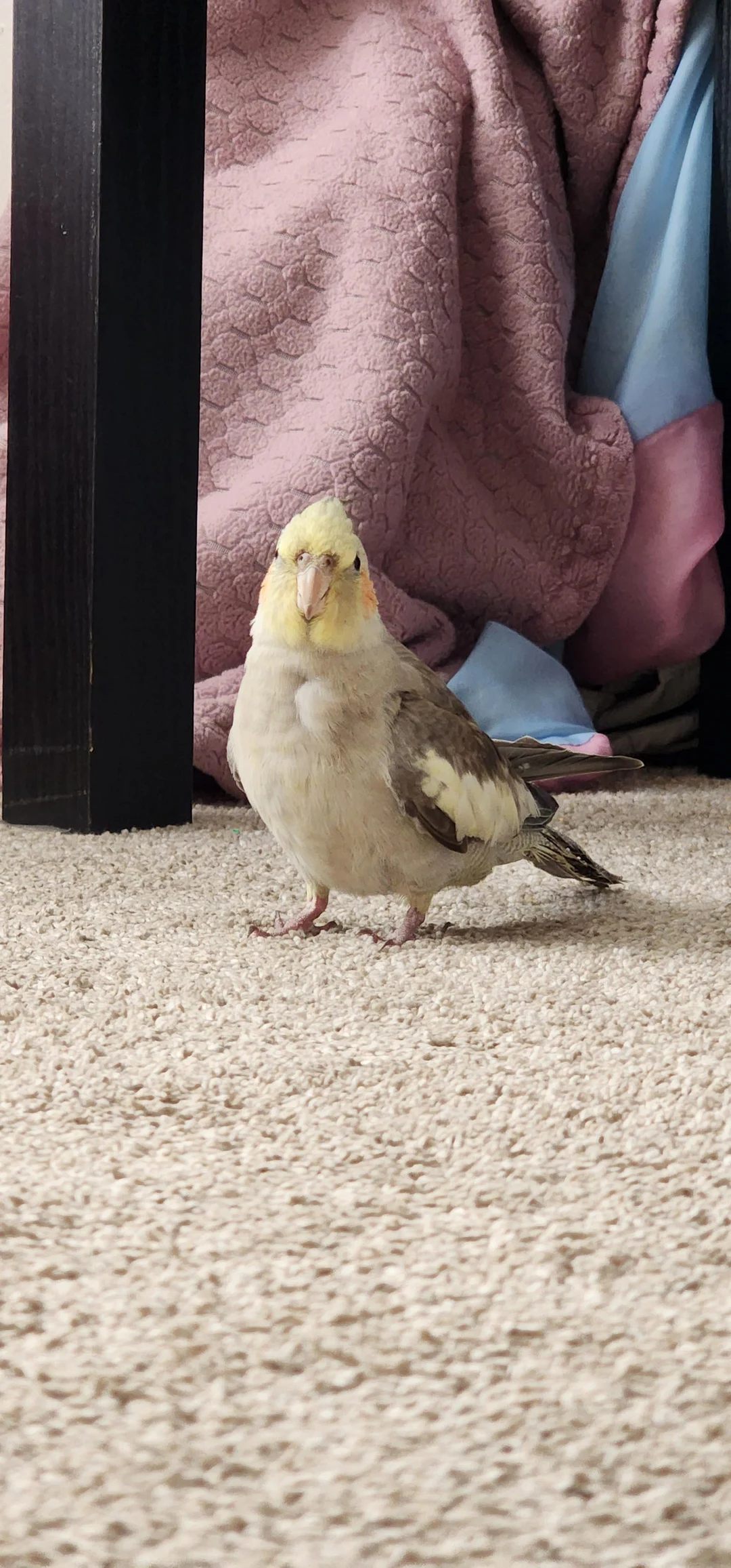 Turkey 2022 | Scrolller