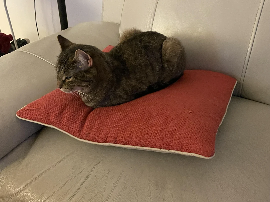 Perfect form! | Scrolller