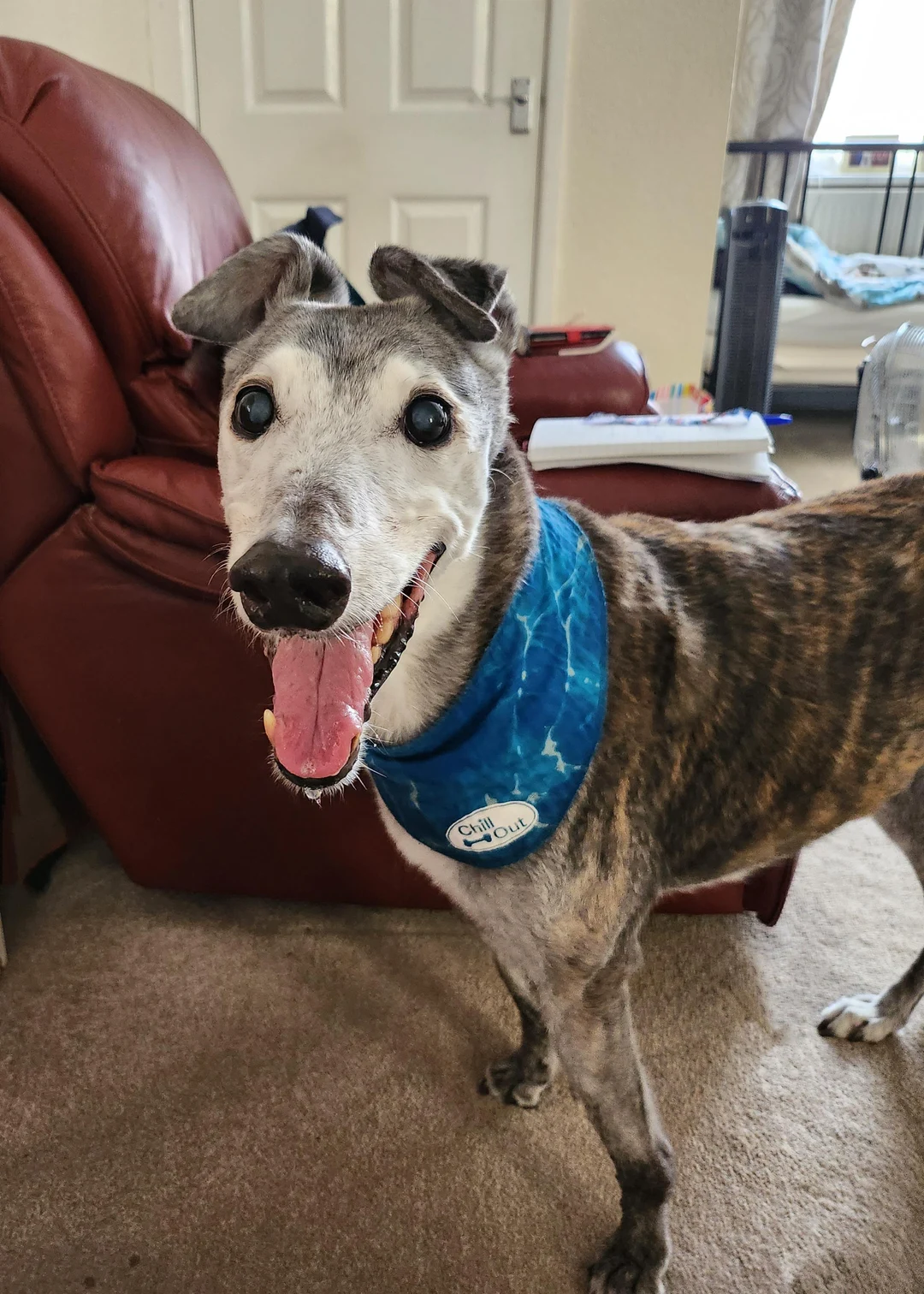 Such sparkle in 15 year old lady eyes! Mia 💗 | Scrolller