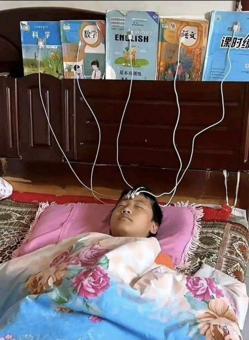 Studying hard for the final | Scrolller