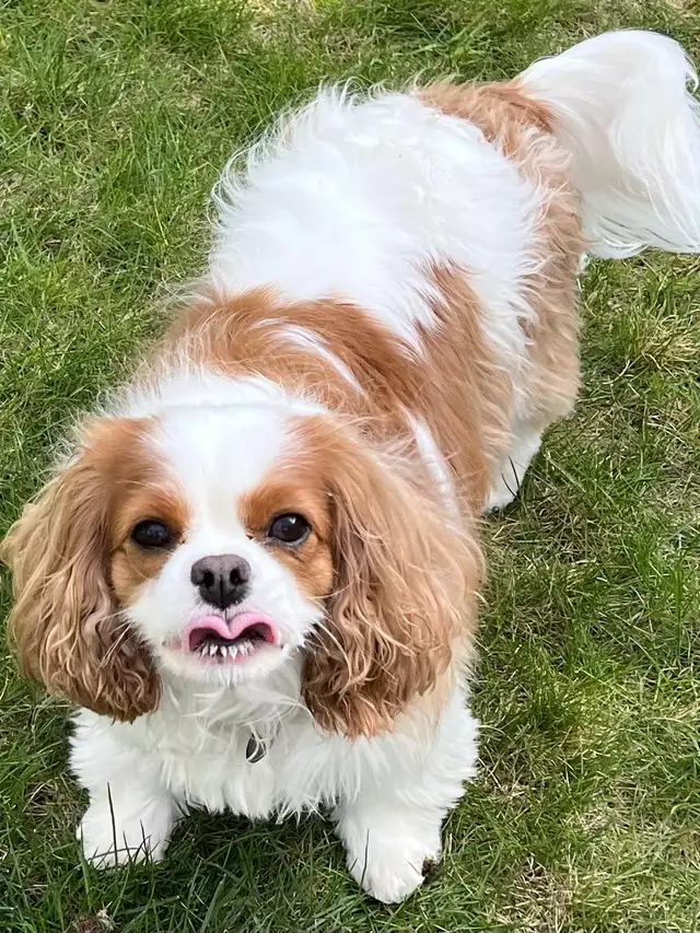 Really thought those were her bottom teeth. | Scrolller