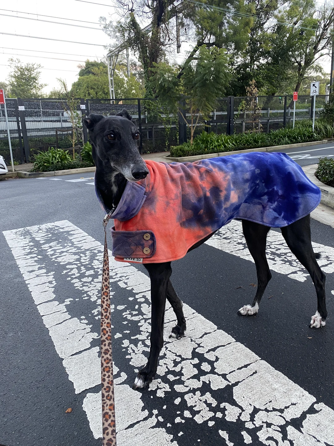 Posing in her new winter coat | Scrolller