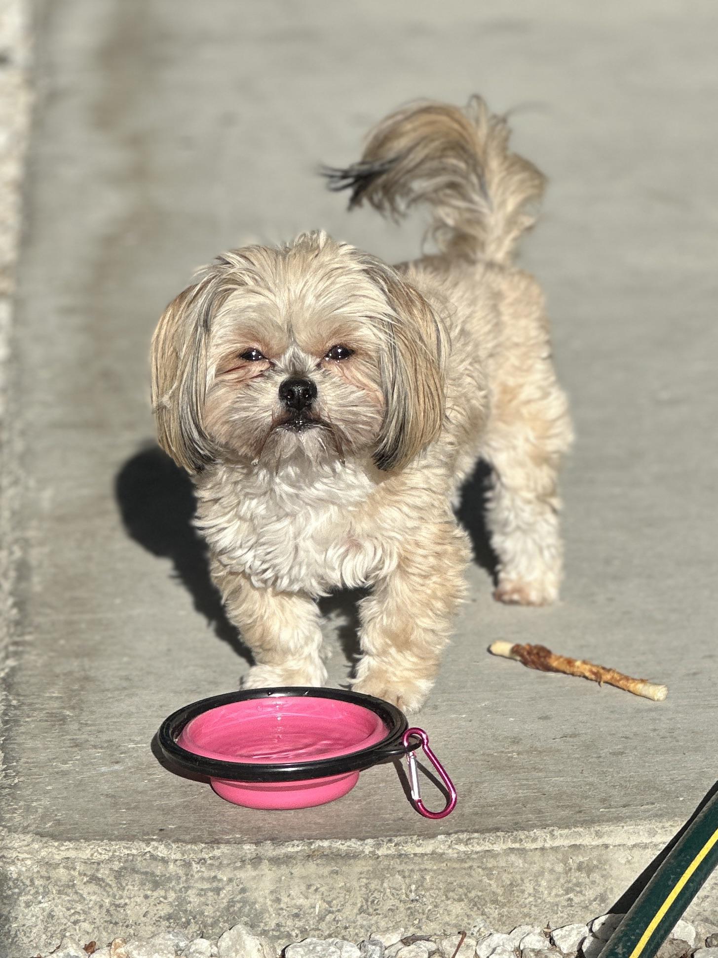 She’s plotting something | Scrolller