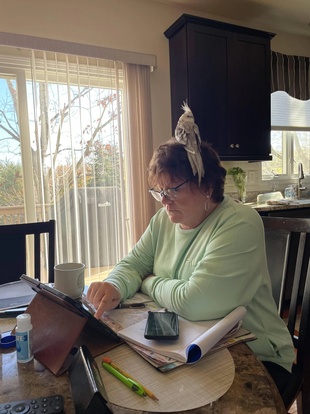 Mr. Provolone, the distinguished fascinator. | Scrolller