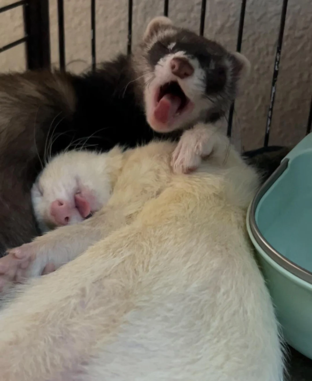 Potty training tips? | Scrolller