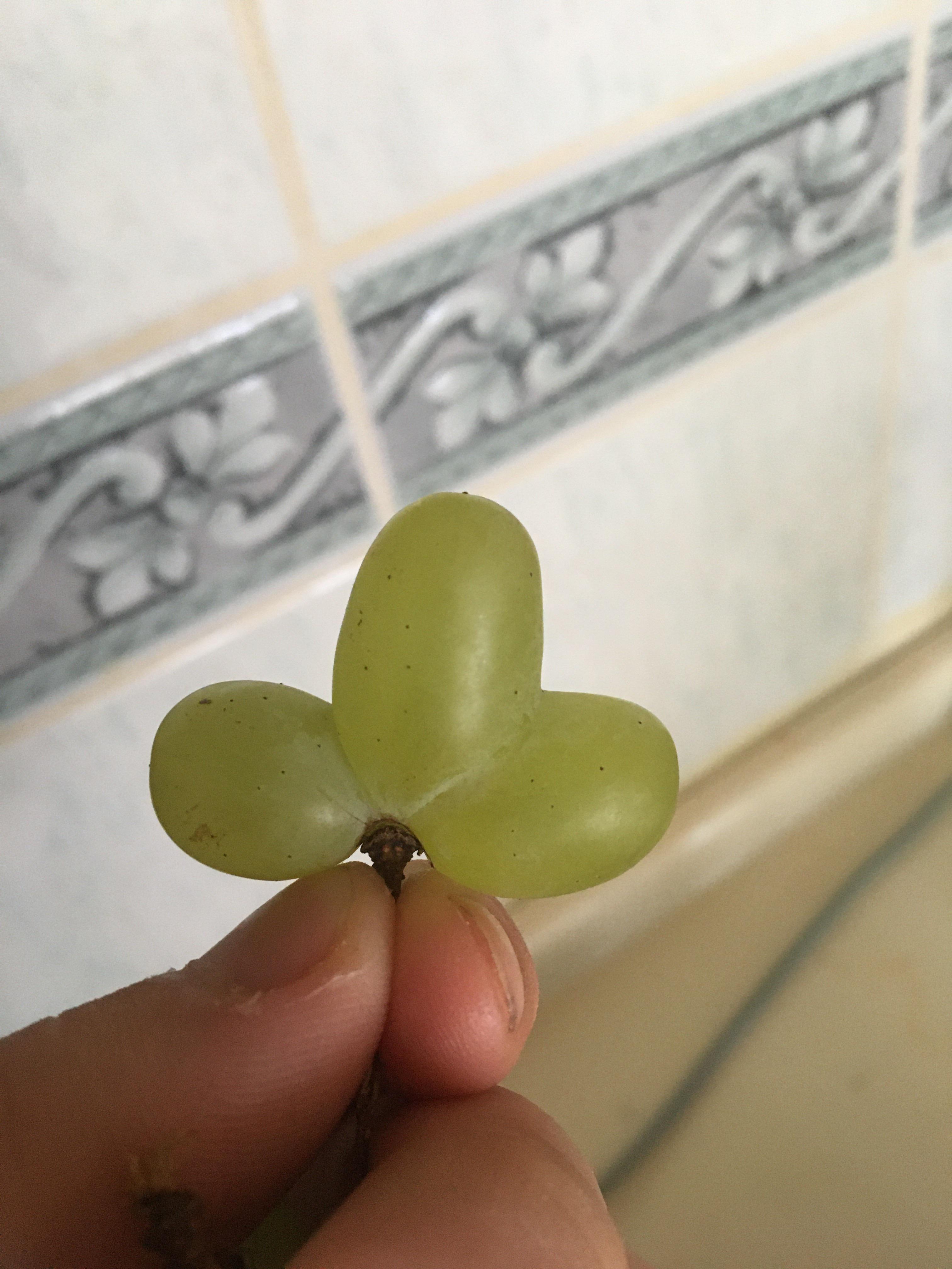 Three grapes are sticked to each other | Scrolller