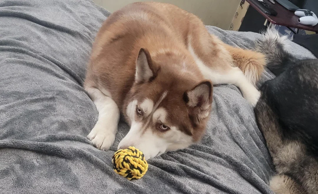 Is it really bedtime? | Scrolller