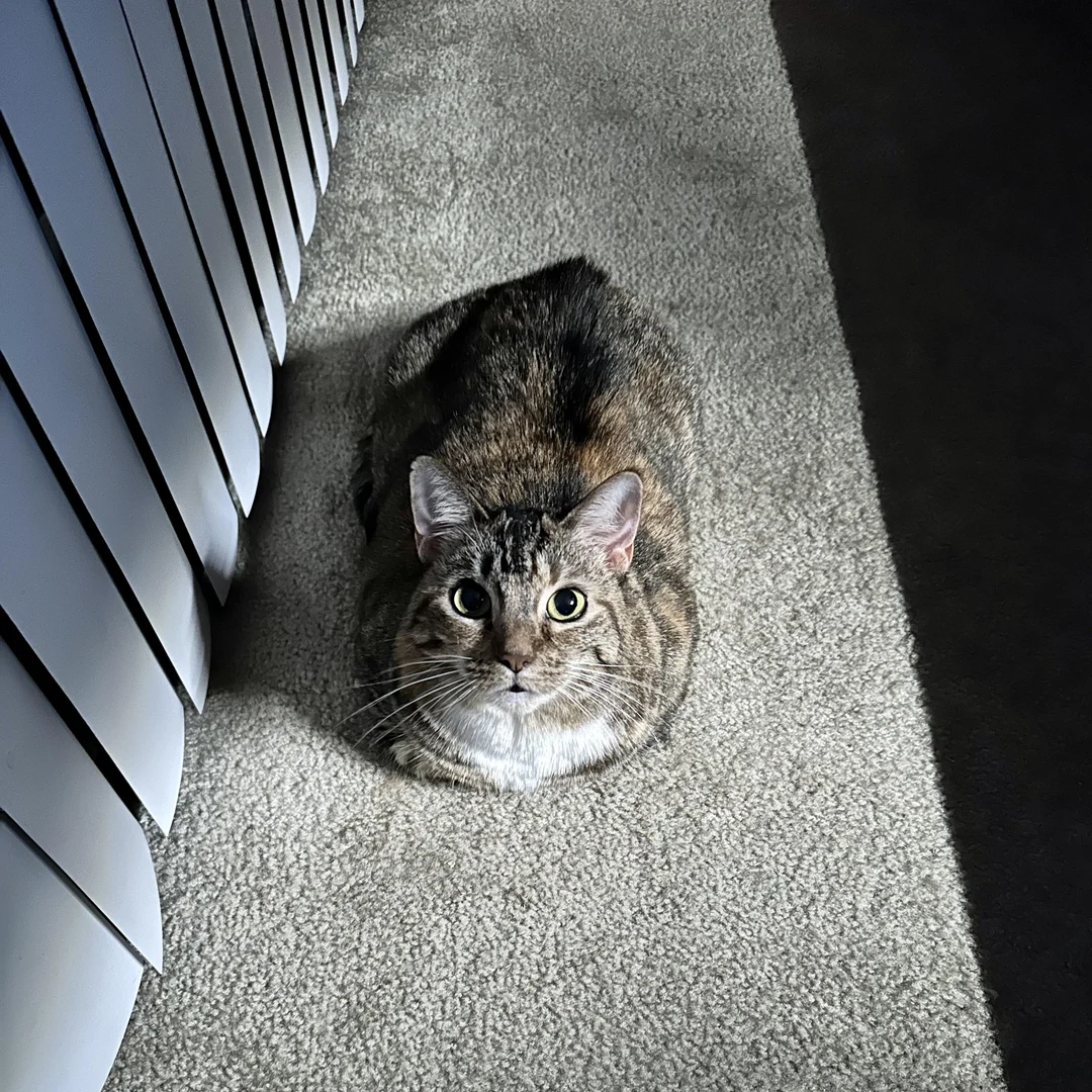 A well aligned loaf. | Scrolller