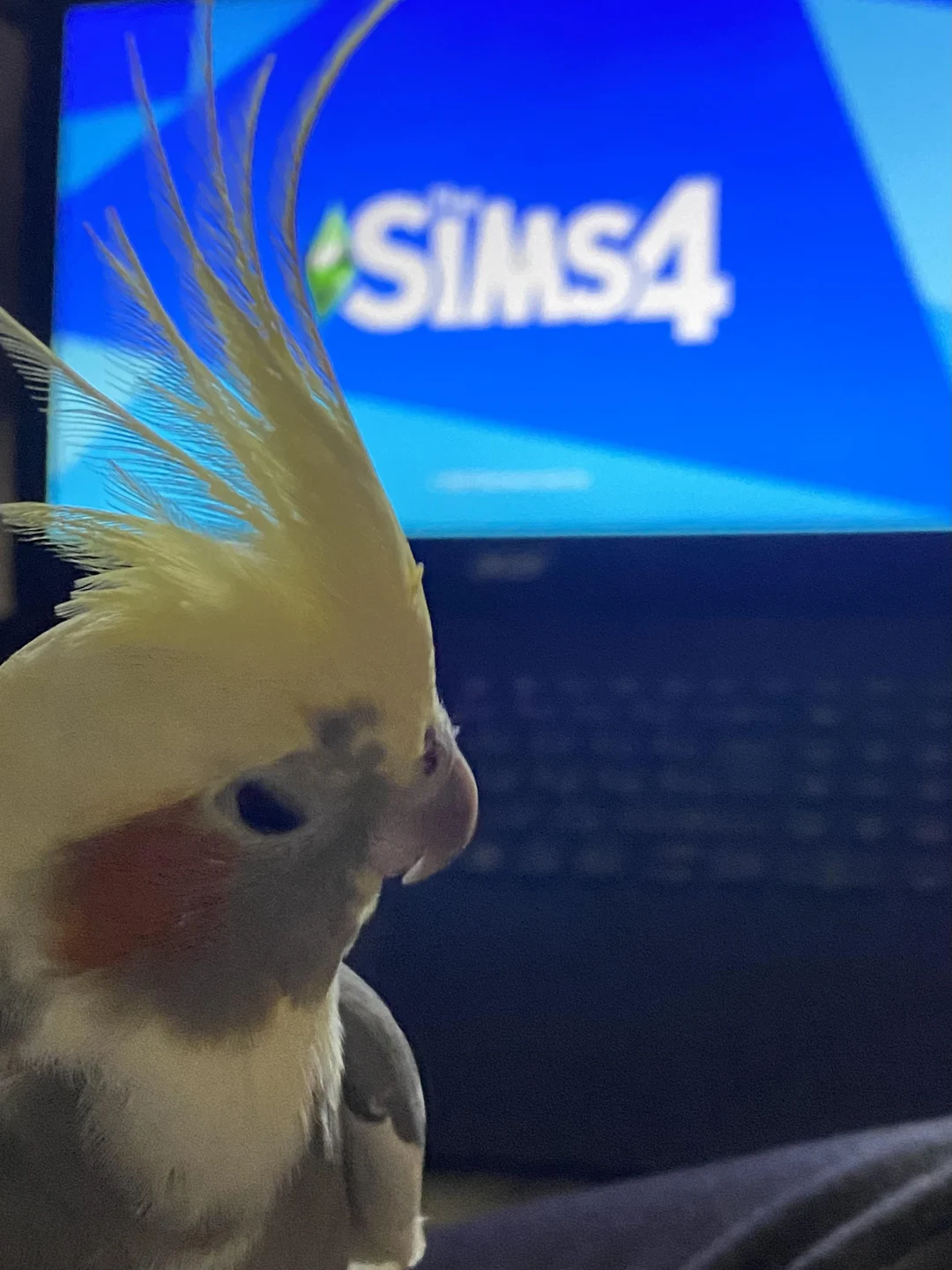 my absolute favorite picture of Pablo | Scrolller