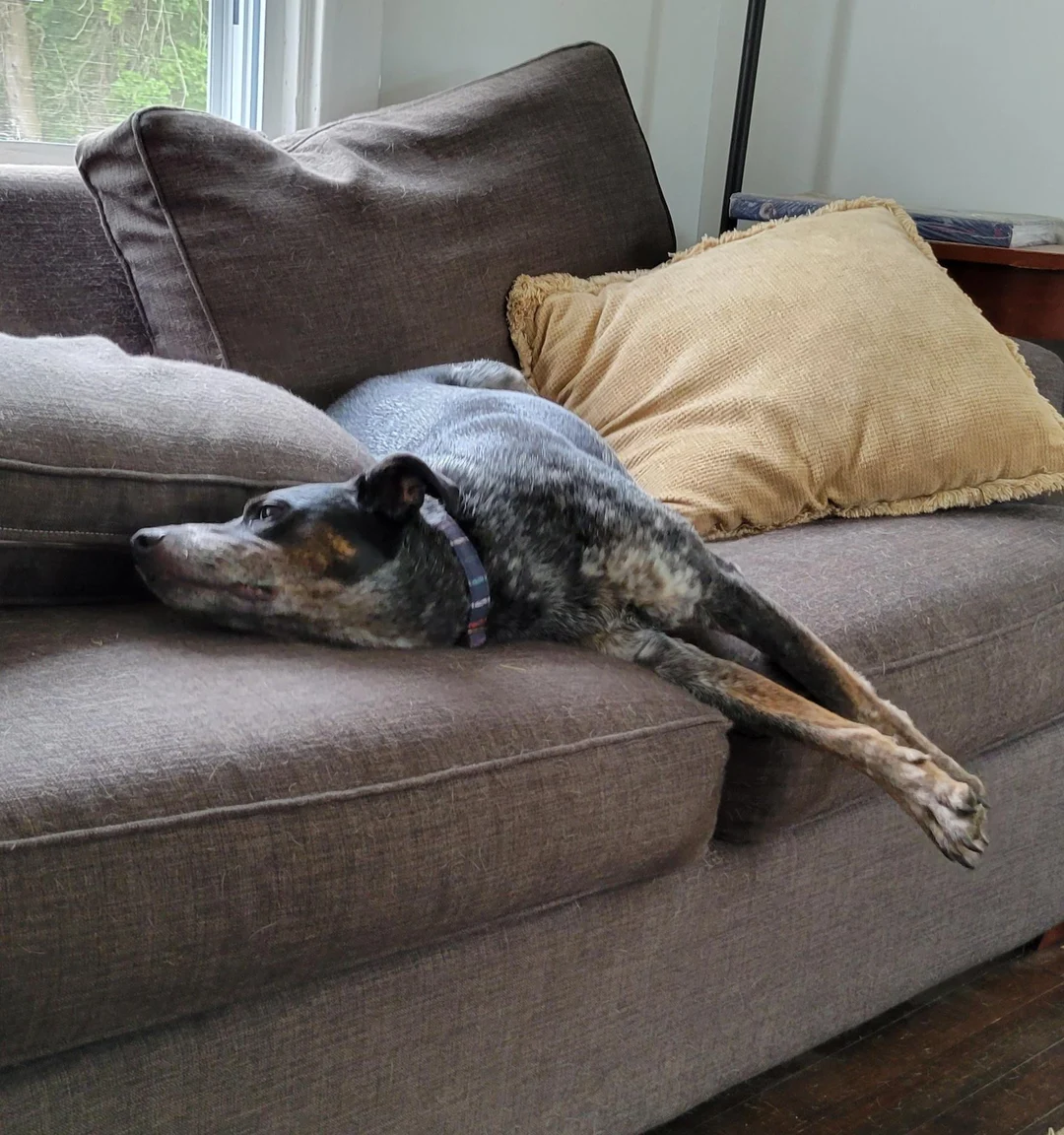 Factory default reset, please | Scrolller