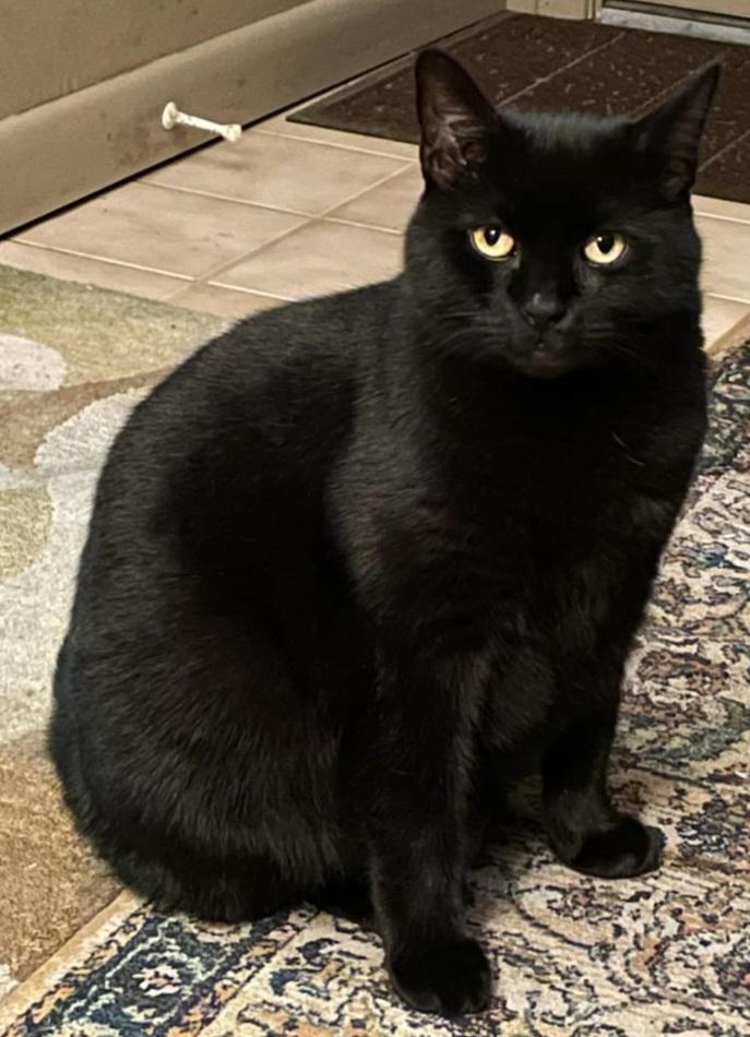 Distinguished gentleman Paul. | Scrolller