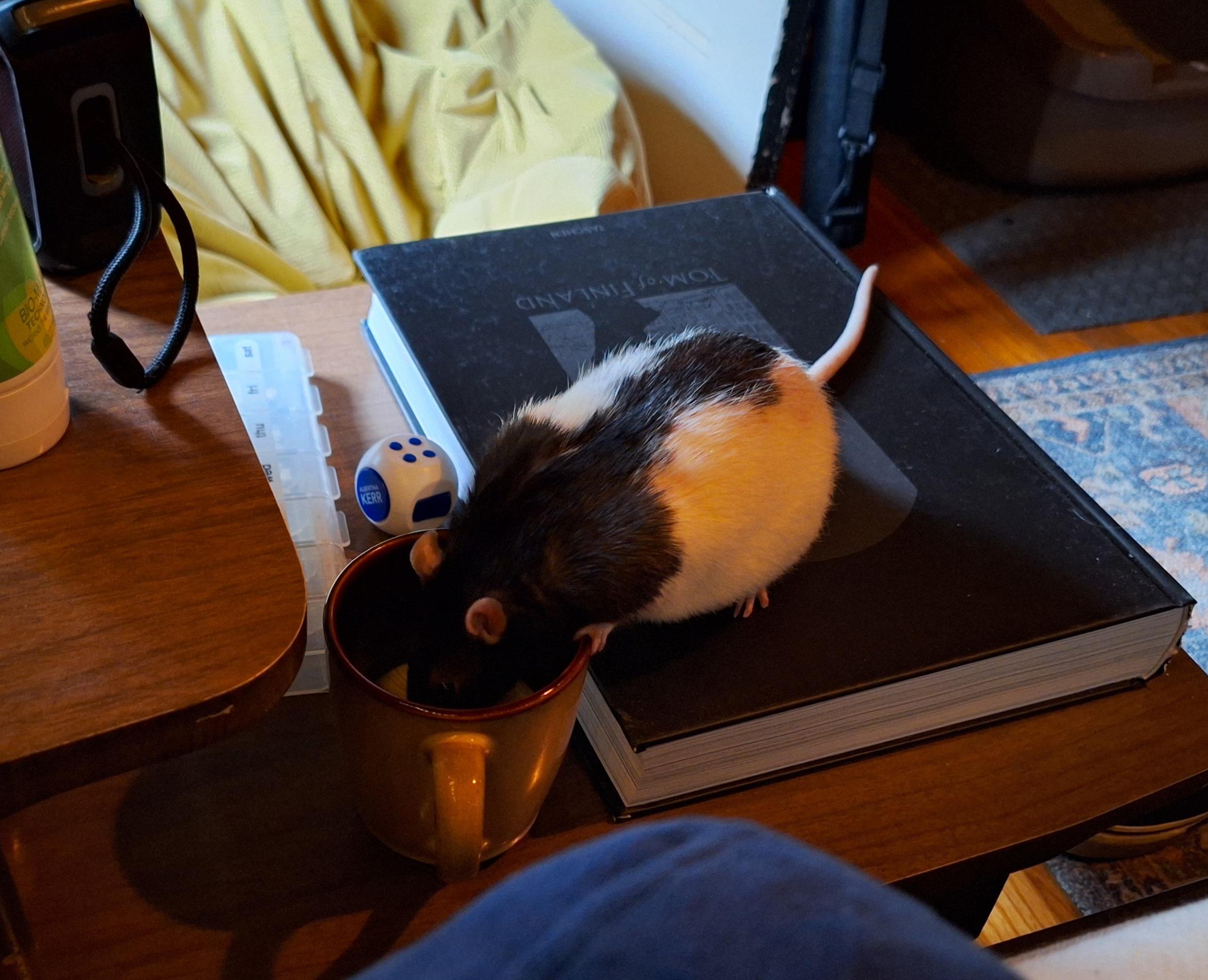 Today I learned | Scrolller