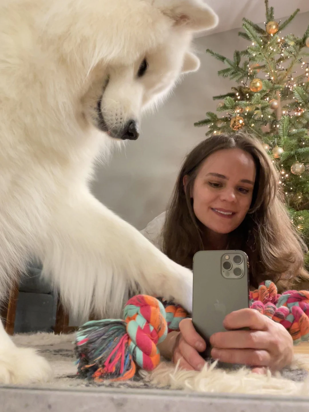 After an illness with my dog, we are finally full of energy | Scrolller