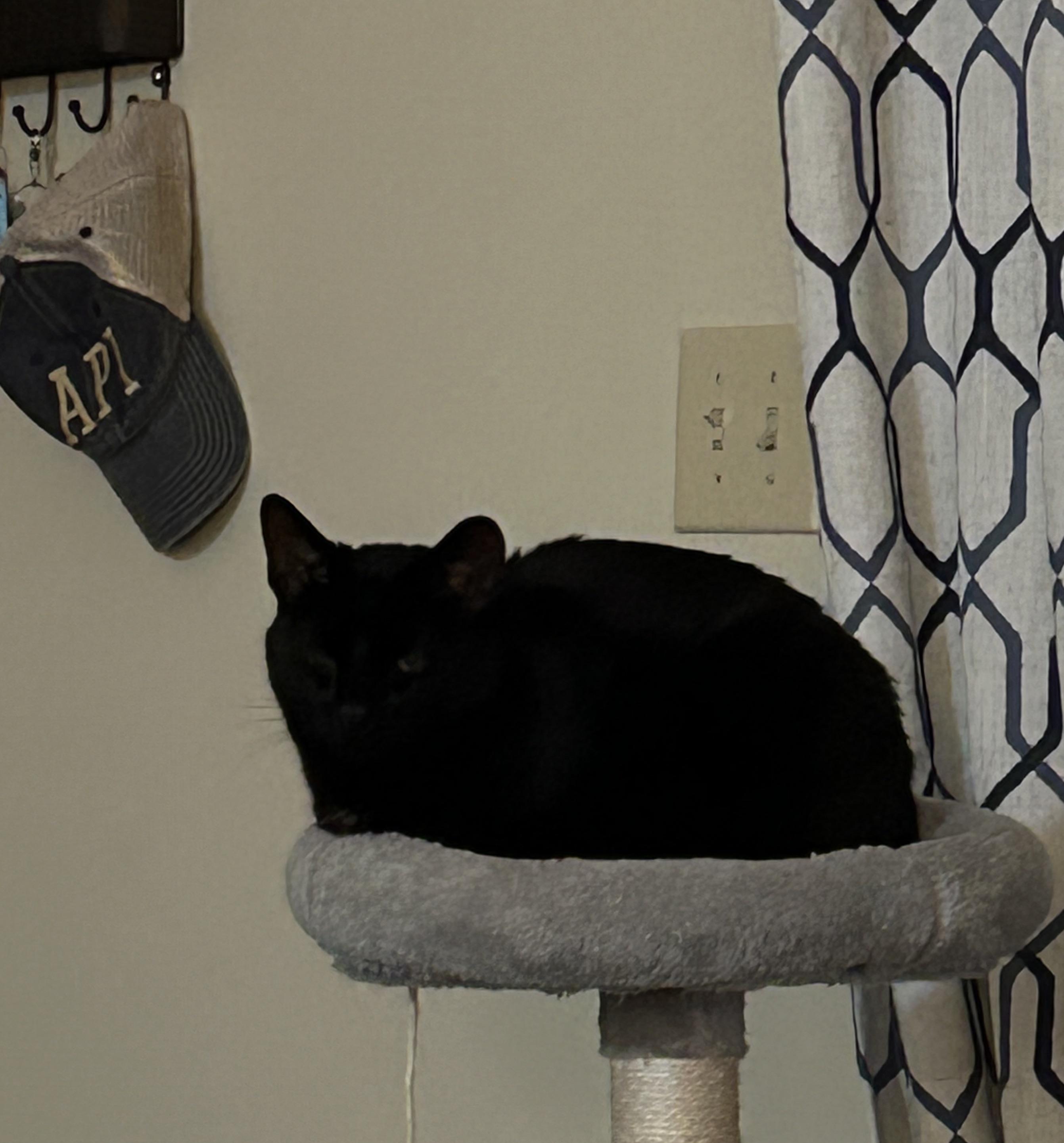 Void load | Scrolller