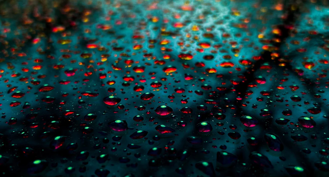 After the rain, me / Lightroom, 2023 | Scrolller
